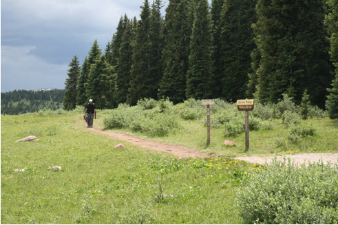 Shrine Mountain Trail