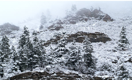 Vail Valley Snow Cat Tours